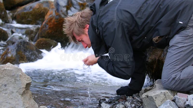 Drinking from a stream stock footage. Video of fresh - 54487900