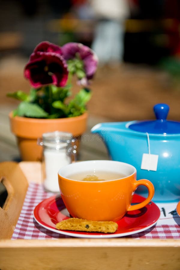 Drinking tea outdoor stock image. Image of colorful, pansy - 14013111