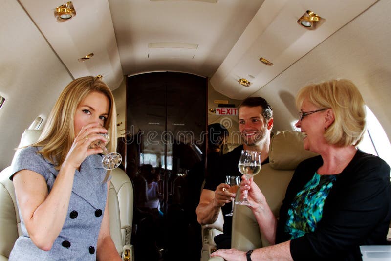 Drinking to a toast stock photo. Image of engine, women - 46778092