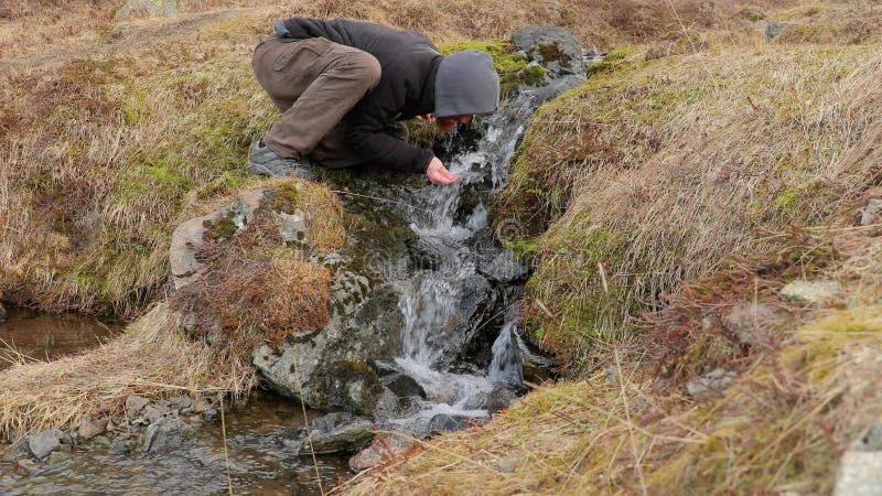 Drinking from a Stream in Iceland Stock Video - Video of environmental ...