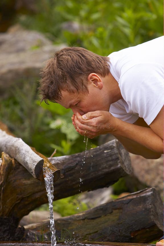 Drinking water from stream stock image. Image of forest - 2716753