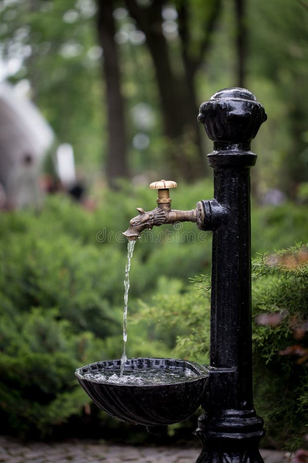Drinking water tap stock photo. Image of nature, flowing - 72790130