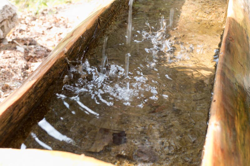 Drinking Water Wooden Pipe Hiking Trail Stock Photos - Free & Royalty ...