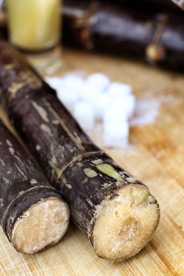 Drinks of sugar cane stock photo. Image of herb, fruit - 35498610
