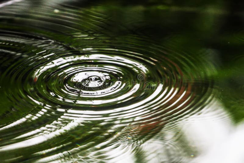 The Water As the Waves Spread Out Over the Circle is Caused by ...