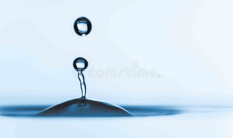 Drip Dynamics: Unveil the Dynamic Physics at Play during a Droplet S D ...