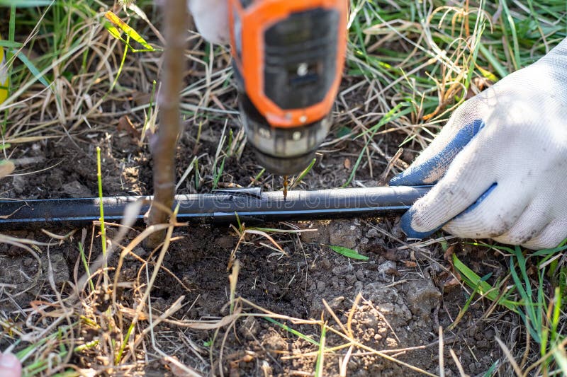 Drip Irrigation. Drilling a Hole in a Polypropylene Pipe To Install a ...