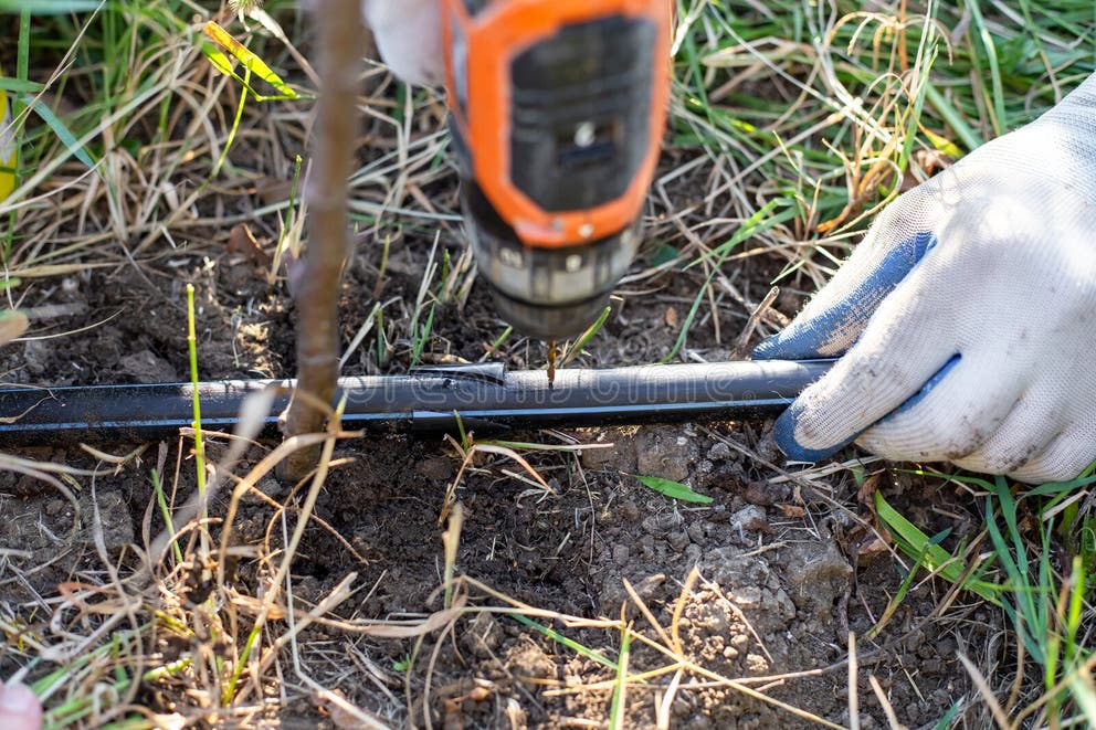 Drip Irrigation. Drilling a Hole in a Polypropylene Pipe To Install a ...