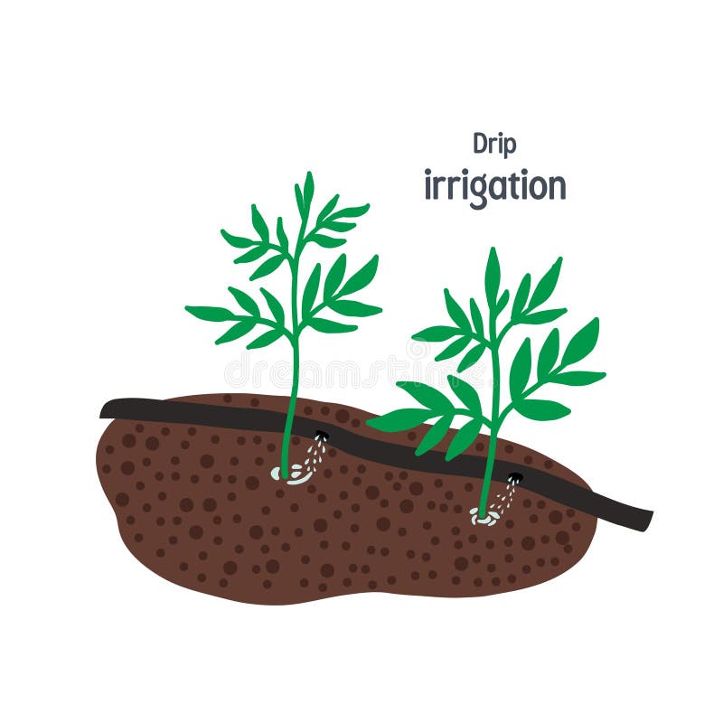 Drip Irrigation System Scheme with Equipment Stock Vector ...