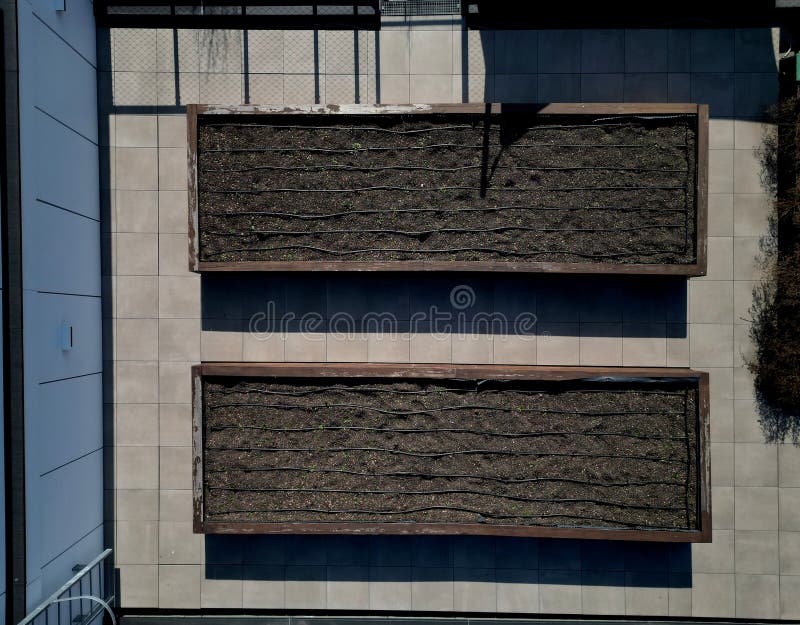 Drip Irrigation Method, Also Called Drop by Drop Irrigation Stock Photo ...