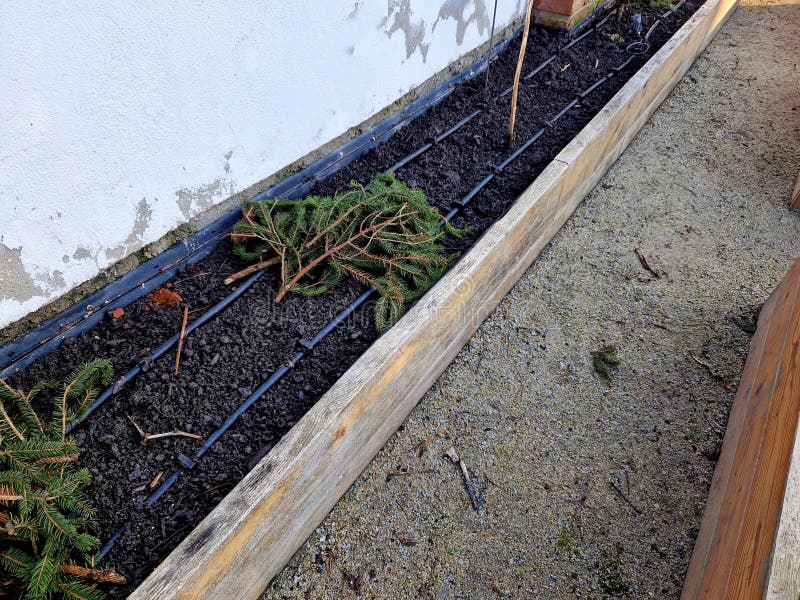 Drip Irrigation Method, Also Called Drop by Drop Irrigation, and Stock ...