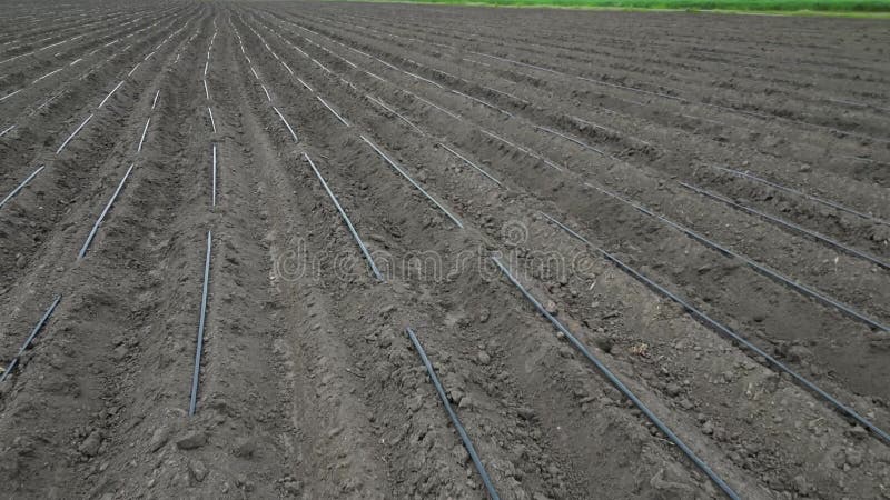 Drip Irrigation is a Method of Irrigation in Which Water is Supplied To ...