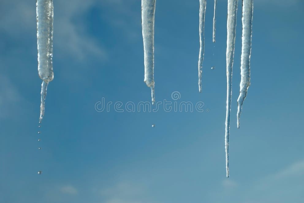Drip of thawing snow stock photo. Image of dripping, melt - 13412666