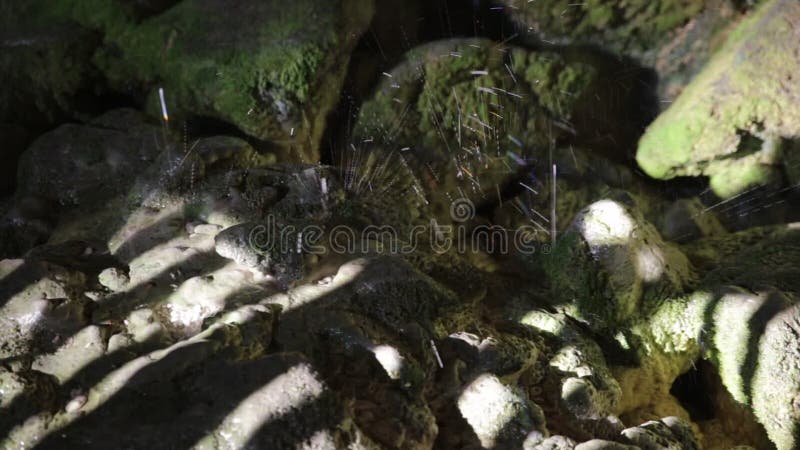 Drip a Waterdrop on Cave Surface Stock Video - Video of drop ...