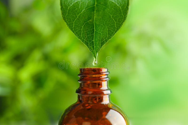 Dropper Over Essential Oil Bottle Stock Photo - Image of drop, care ...