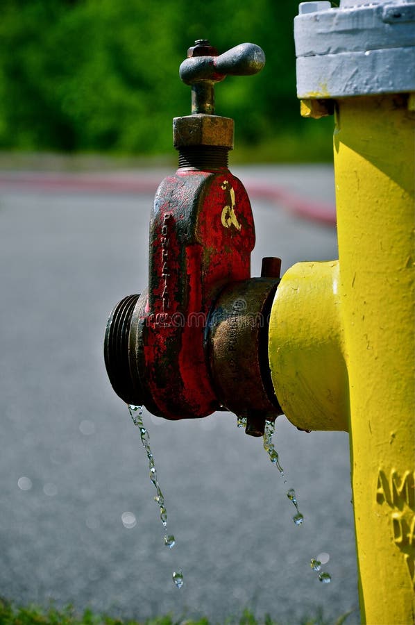 Dripping Fire Hydrant stock photo. Image of leak, butterfly - 15051756