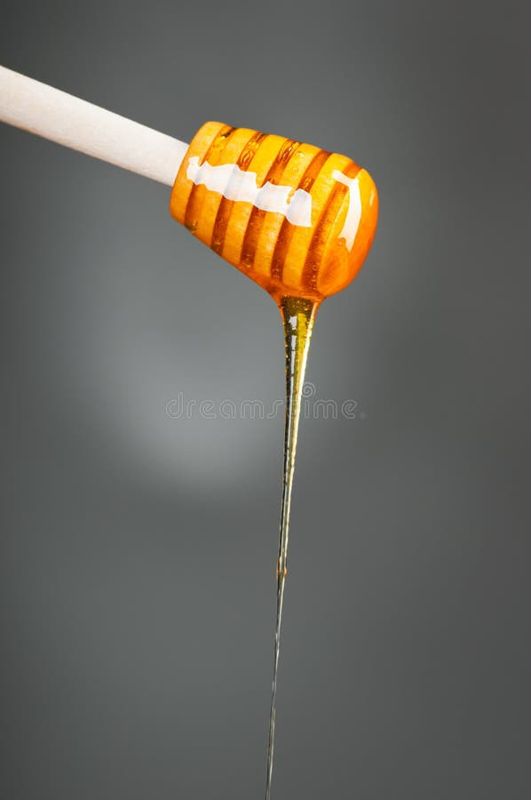 Dripping honey stock photo. Image of eating, still, flowing - 20284788