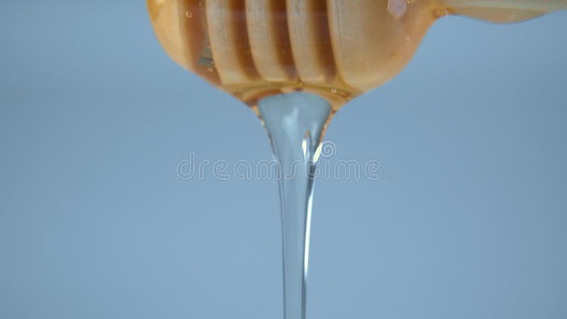 Dripping honey stock footage. Video of drip, natural - 102093142