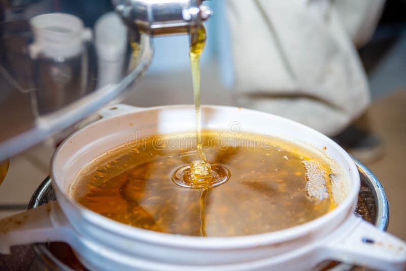 Dripping Honey from Honey Extractor. Filtrating Fresh Honey through ...