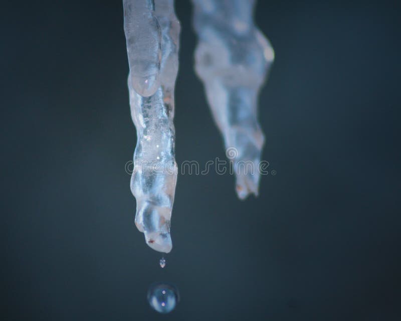 Dripping Icicles stock image. Image of melt, winter, cold - 983509