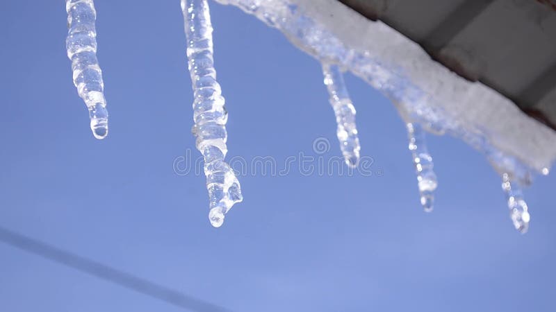 Dripping Icicles, Melting Icicles, Icicle Hanging from Roof Stock ...