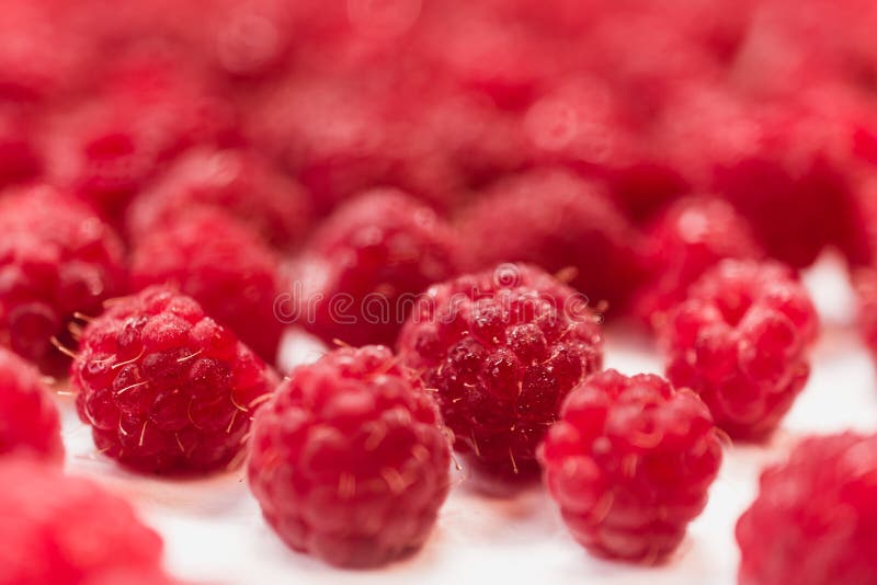 A Red Raspberry is Dripping with Liquid Stock Photo - Image of ...