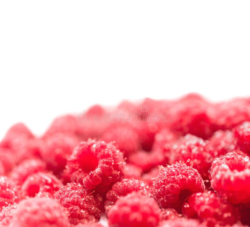 A Red Raspberry is Dripping with Liquid Stock Photo - Image of ...