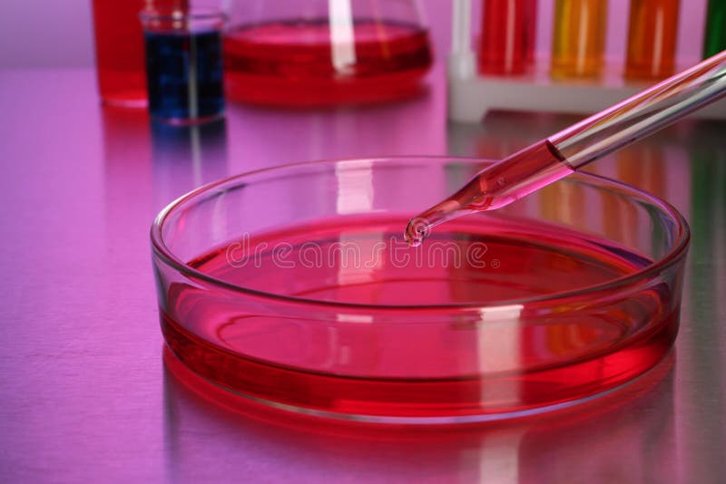 Dripping Red Reagent into Petri Dish with Sample on Table, Closeup ...