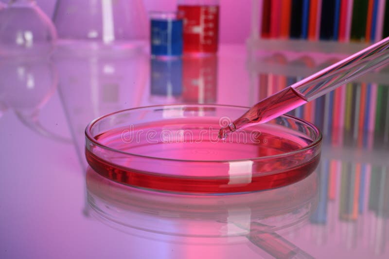 Dripping Red Reagent into Petri Dish with Sample on Table, Closeup ...