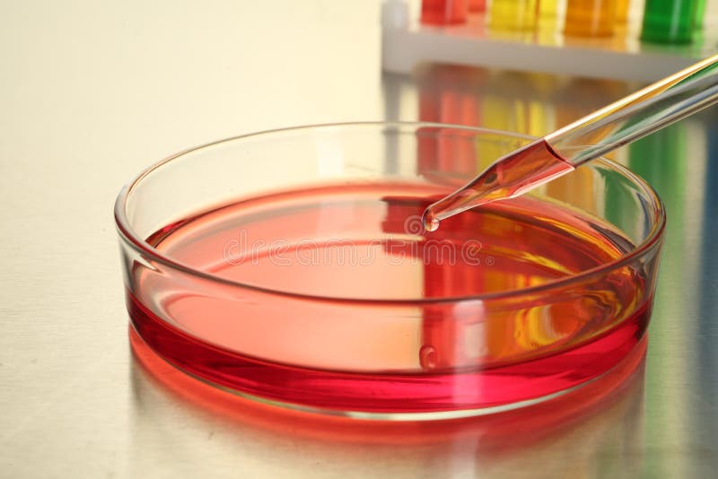 Dripping Red Sample into Petri Dish with Liquid on Table, Closeup Stock ...