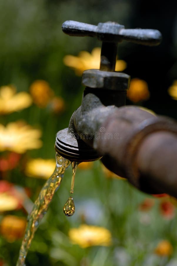 Dripping tap stock photo. Image of dams, clean, drought - 12710234