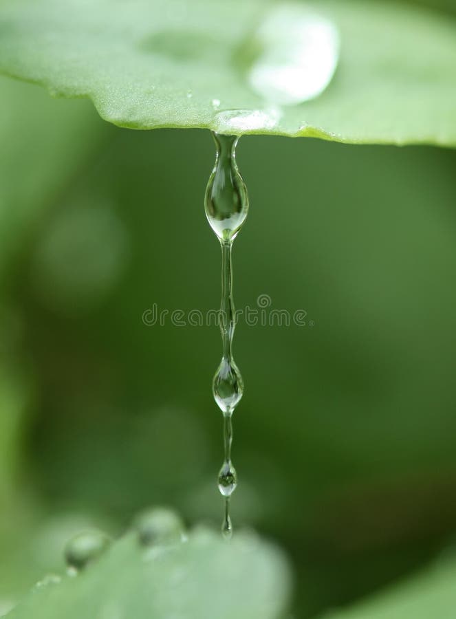 Water pouring from spout stock photo. Image of fountain - 15759594