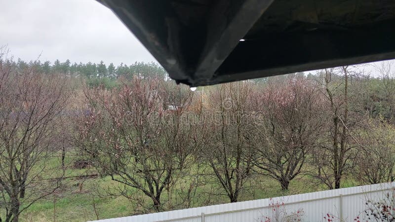 Dripping Water the during Rain Stock Video - Video of outdoors, ripple ...