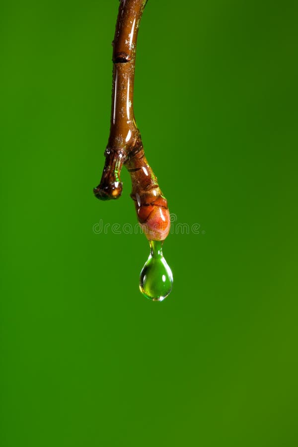 Spring water stock photo. Image of wash, tasty, spring - 24704308