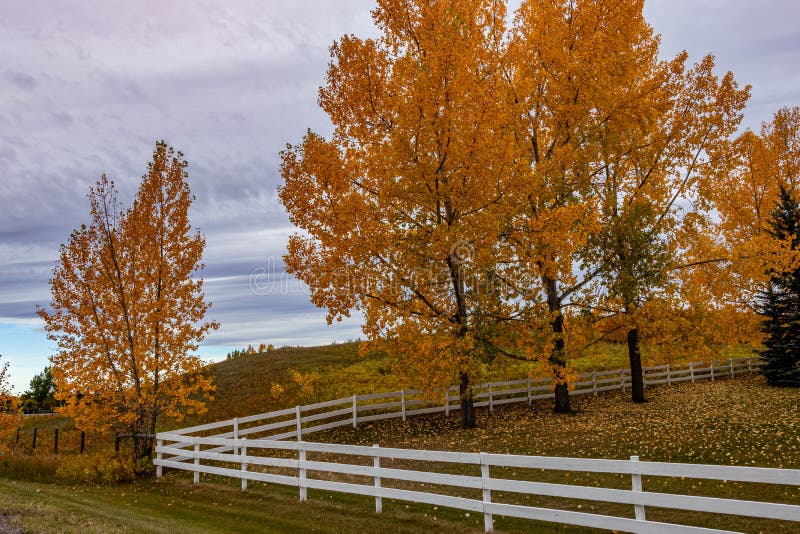 A Drive through Foothills County Alberta Canada Stock Photo - Image of ...