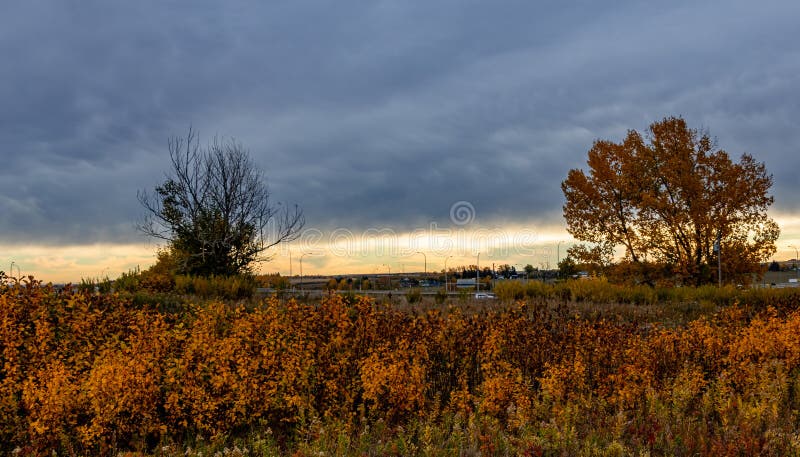A Drive through Foothills County Alberta Canada Stock Image - Image of ...