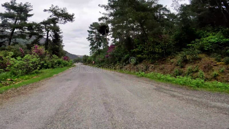 Drive through Mountain, Forest Terrain in Turkey, First Person View ...