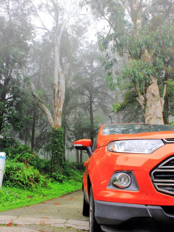 The Drive through stock image. Image of weather, perfect - 96242409