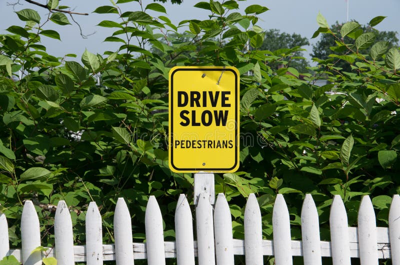 Drive Slow Sign stock photo. Image of drive, sign, road - 30642154