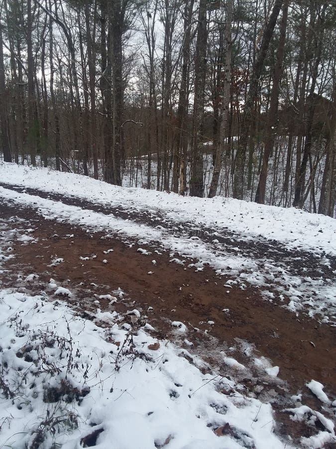 Drive through Snowy Tree Line Stock Image - Image of branch, rock ...