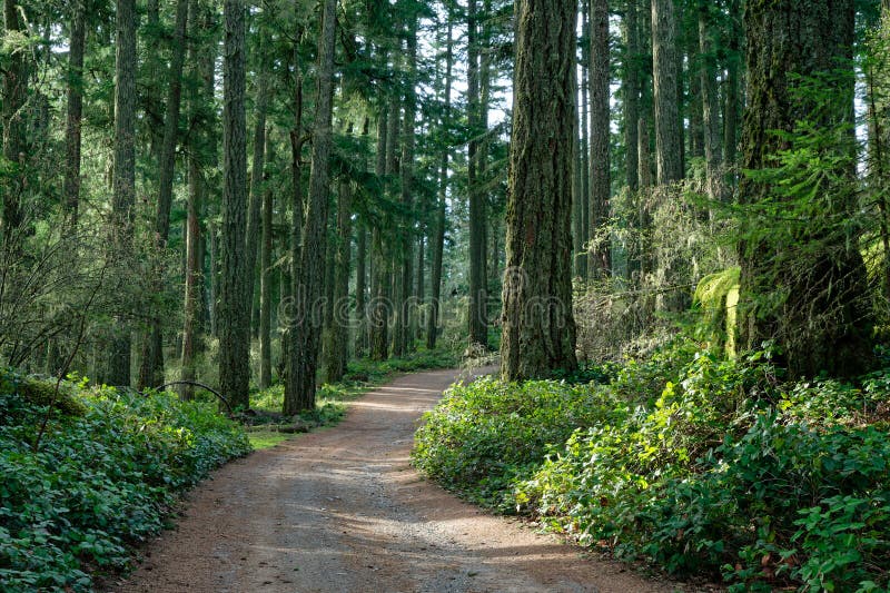 Drive Up To Mount Maxwell, Salt Spring Island, BC Canada Stock Image ...