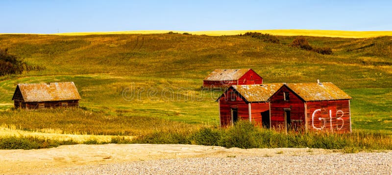 A Drive through Wheatland County Alberta Canada Stock Photo - Image of ...