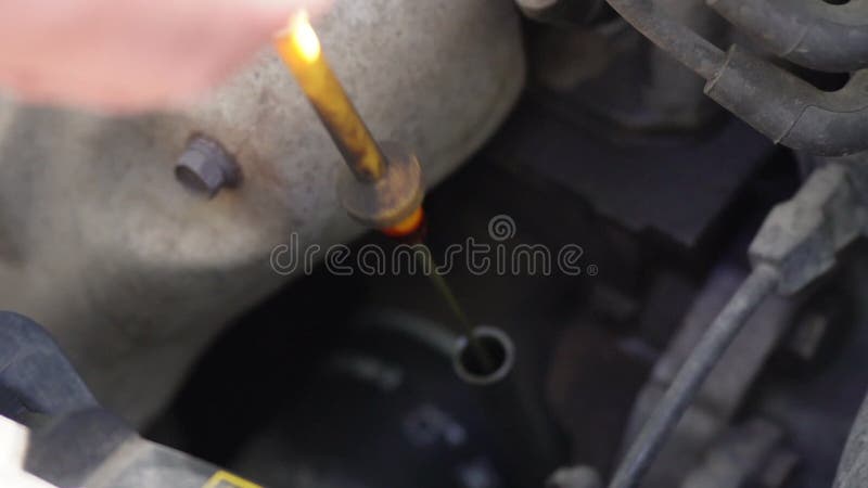 A Driver Checks the Oil Level in a Car Engine Using a Dipstick Stock ...