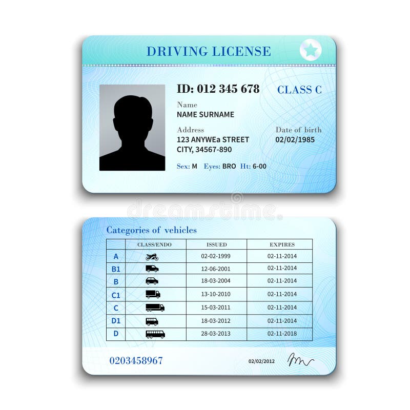 Driver License Illustration Stock Vector - Illustration of design ...