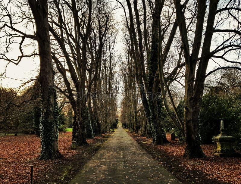 Driveway Path Cemetery Wild Stock Photo - Image of wild, lincolnshire ...