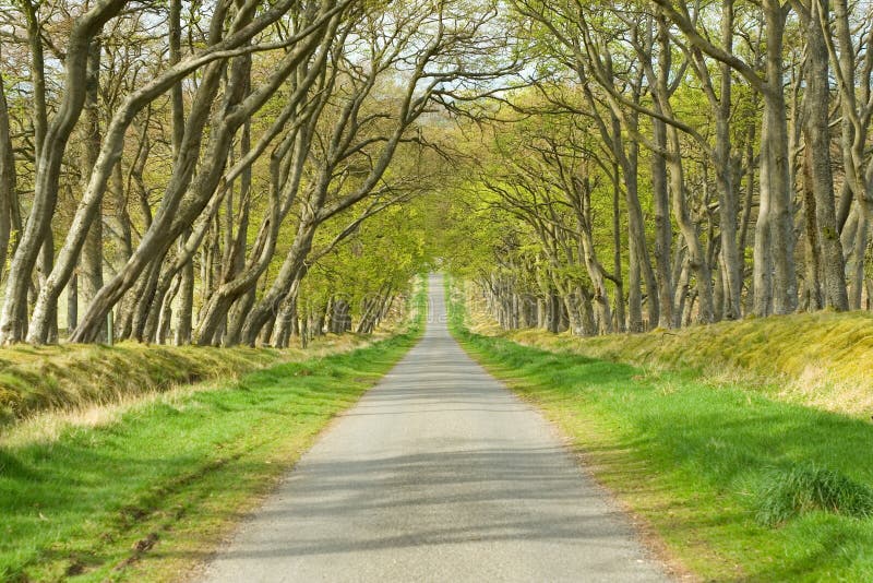 Driveway, Road, Drive, Parkway Stock Image - Image of highlands, rural ...