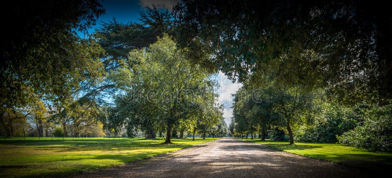 Driveway Under the Tree Canopy Stock Photo - Image of beach, view ...