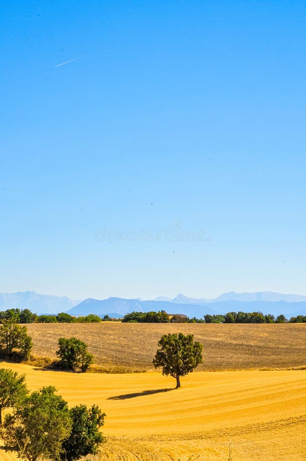 Driving through Aramon, Cut Wheat Fields, Farming Valley Stock Photo ...