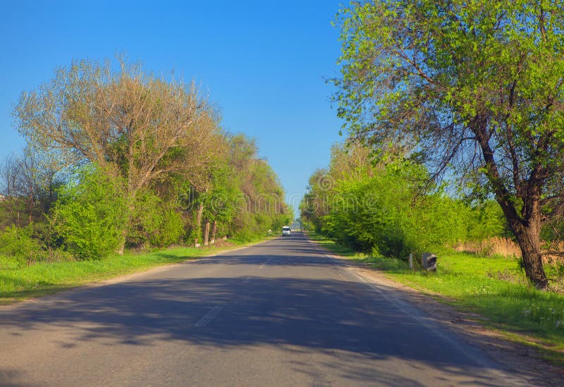 Road through green trees stock photo. Image of tree - 121769970