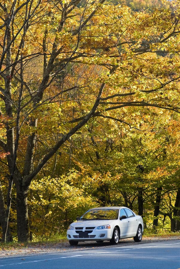 Driving the backroads stock image. Image of journey, exploration - 6998965